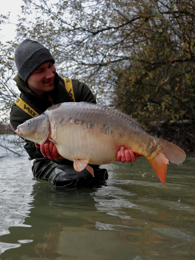 Citrus Bait Smoke für Boilies, Pop Ups und Wafter | Lockstoff ...