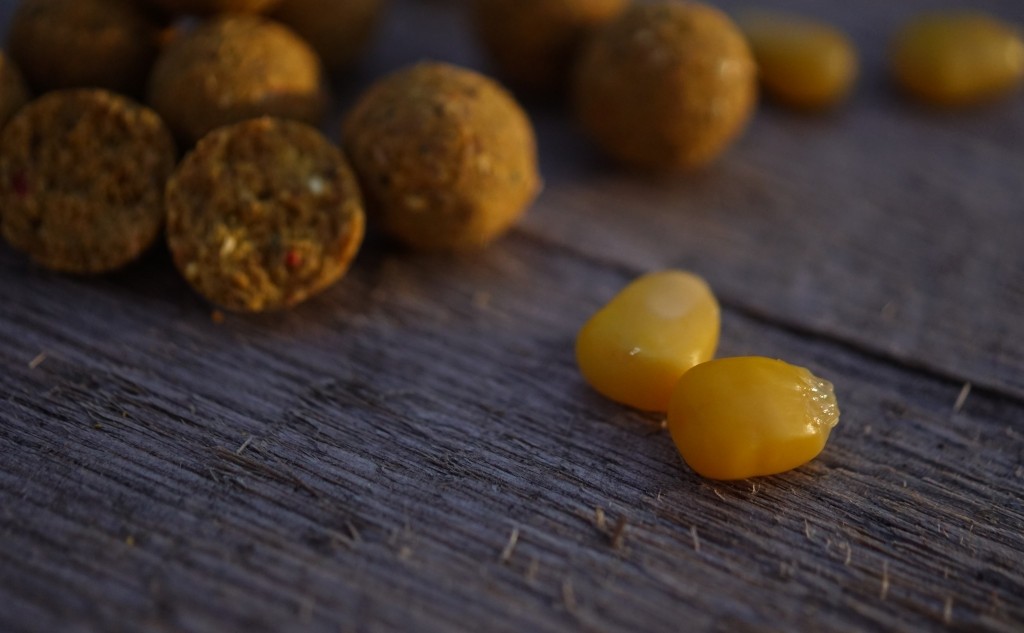 Fermented Sweetcorn enzymbehandelte Boilies für Karpfen Jetzt bestellen ...