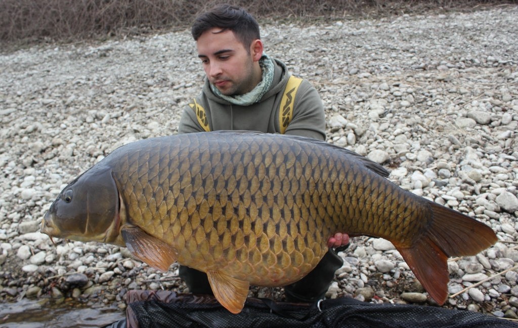 Fermented Tigernut Boilie Soak für Karpfen Jetzt bestellen! | Lockstoff-Manufaktur ...