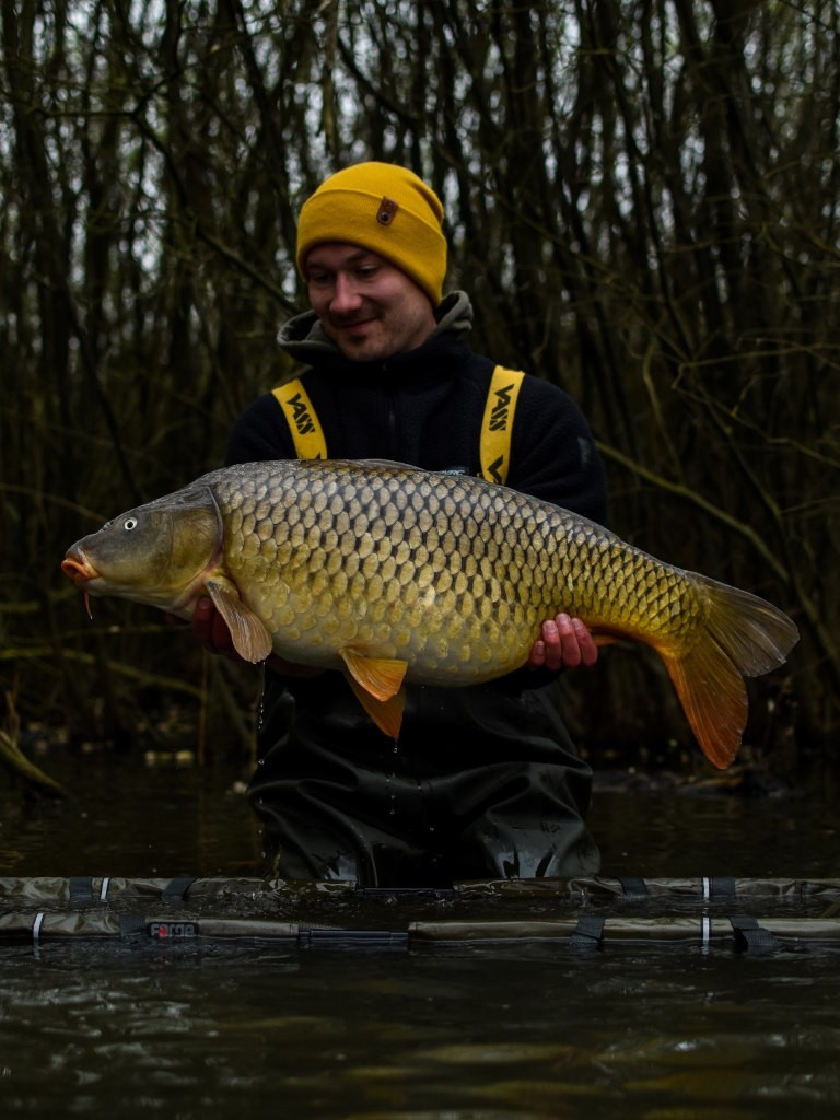 Wasserlösliches Scopex Flavour für Boilies | Lockstoff-Manufaktur ...